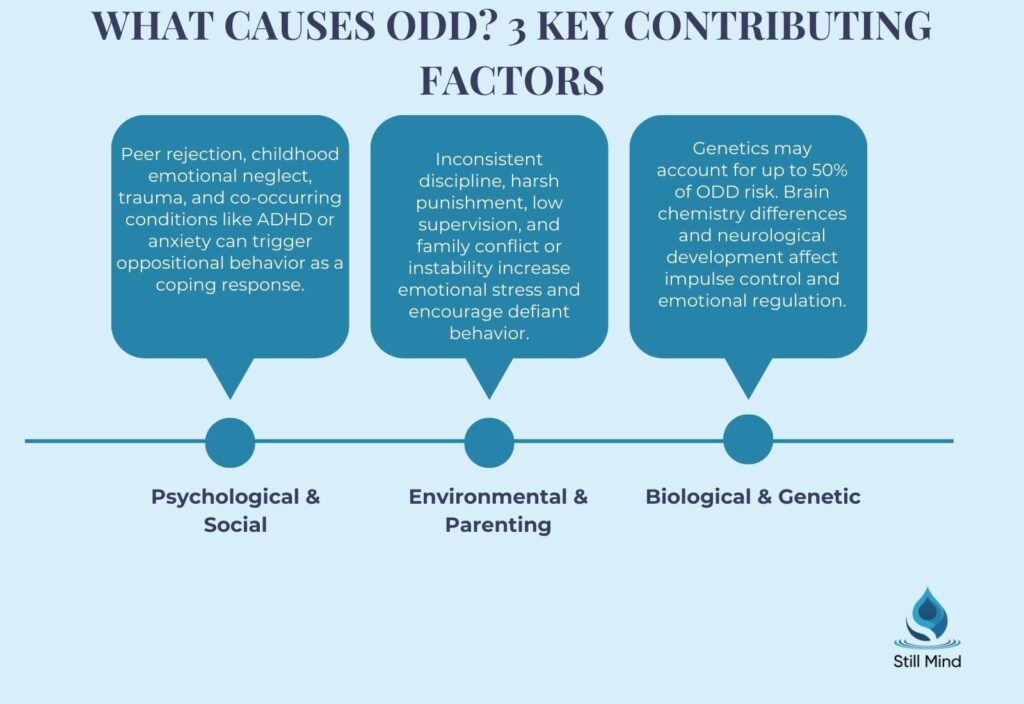 What Is Oppositional Defiant Disorder (ODD)? Symptoms, Causes, and ...