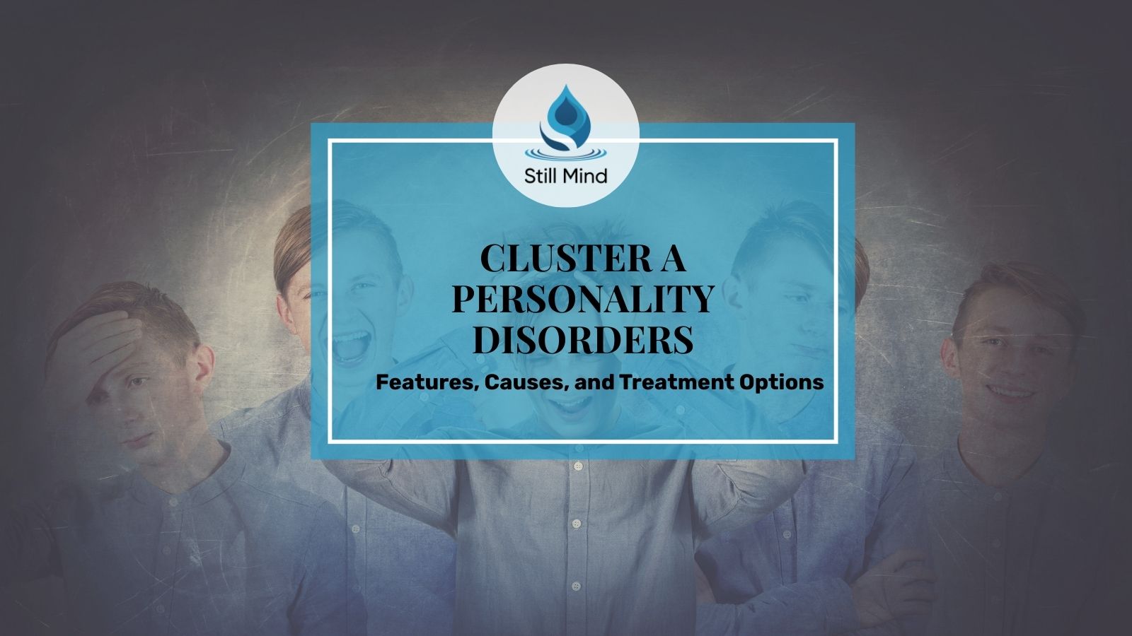 What Are Cluster A Personality Disorders? Paranoid, Schizoid, and ...