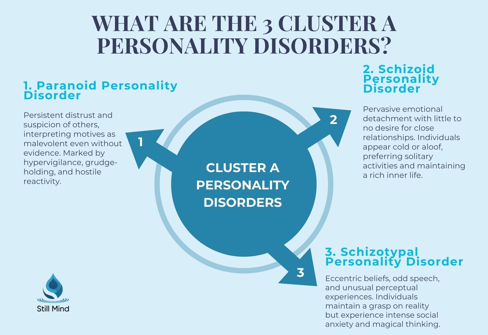 What Are Cluster A Personality Disorders? Paranoid, Schizoid, and ...