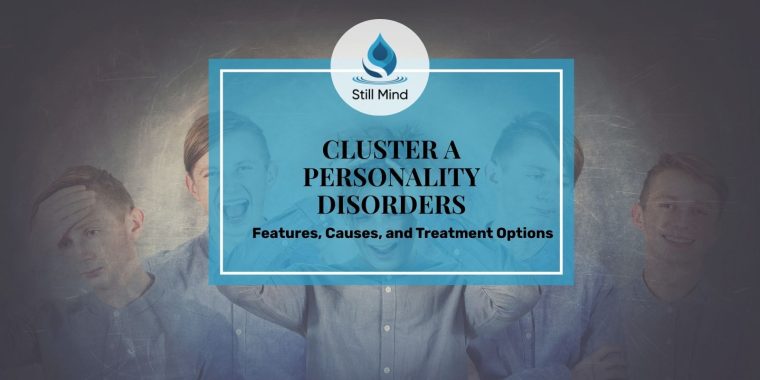 What Are Cluster A Personality Disorders? Paranoid, Schizoid, and ...